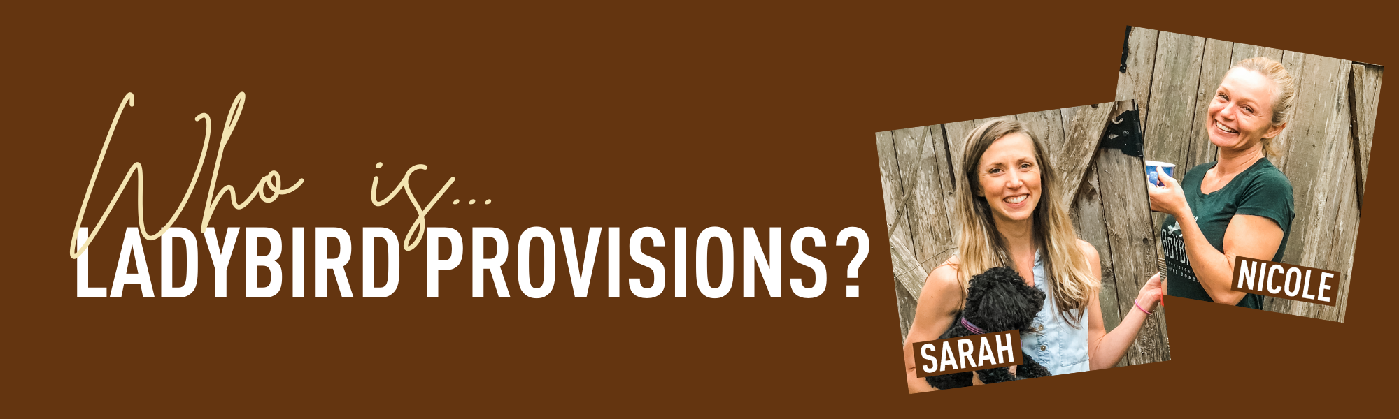 Who is Ladybird Provisions?