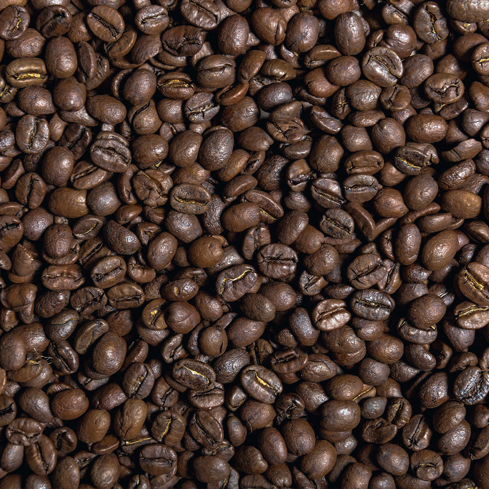 Bomb Beans – Ladybird Provisions